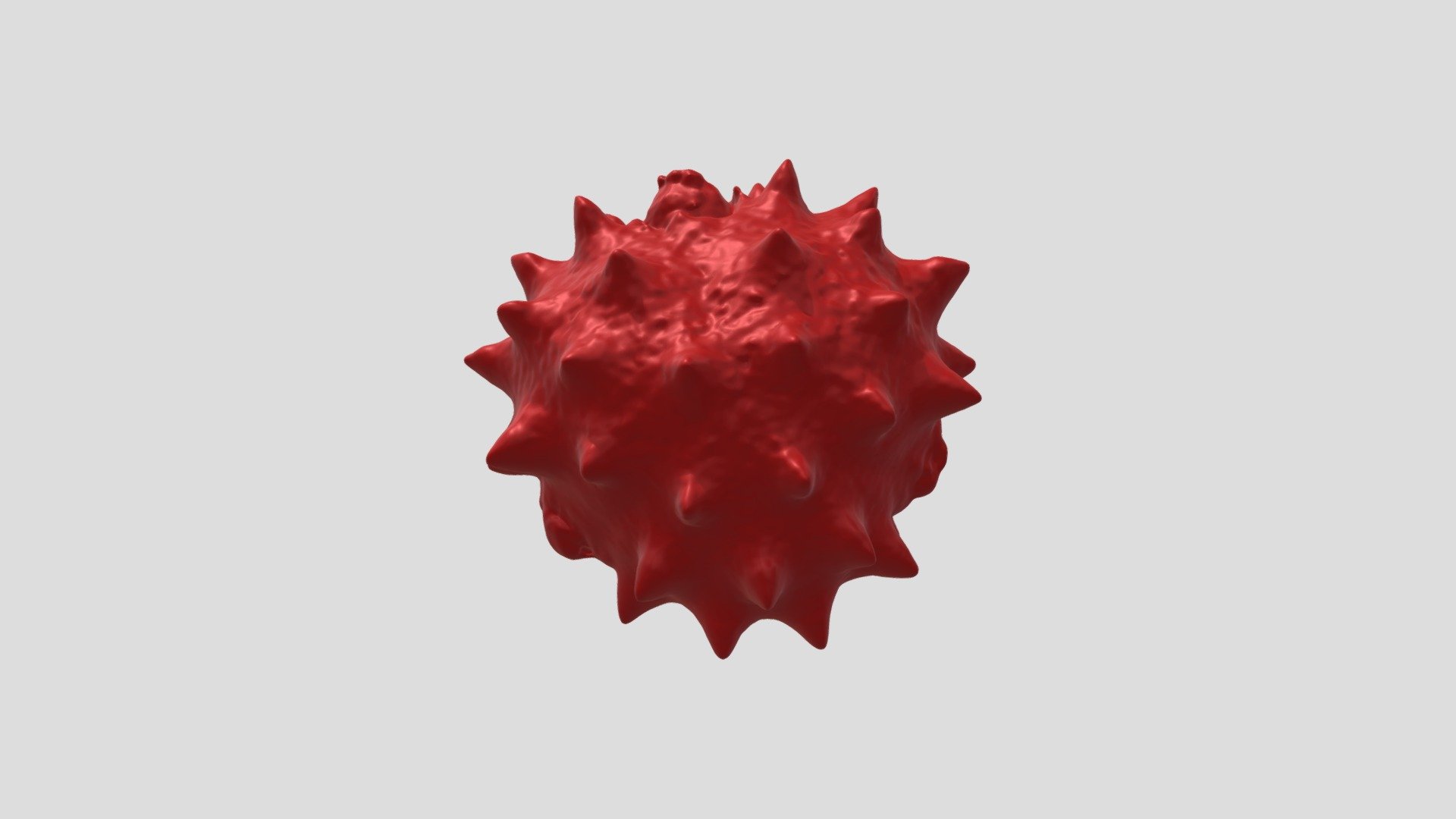 Ox-eye daisy (Leucanthemum vulgare) pollen - 3D model by Cardiff ...