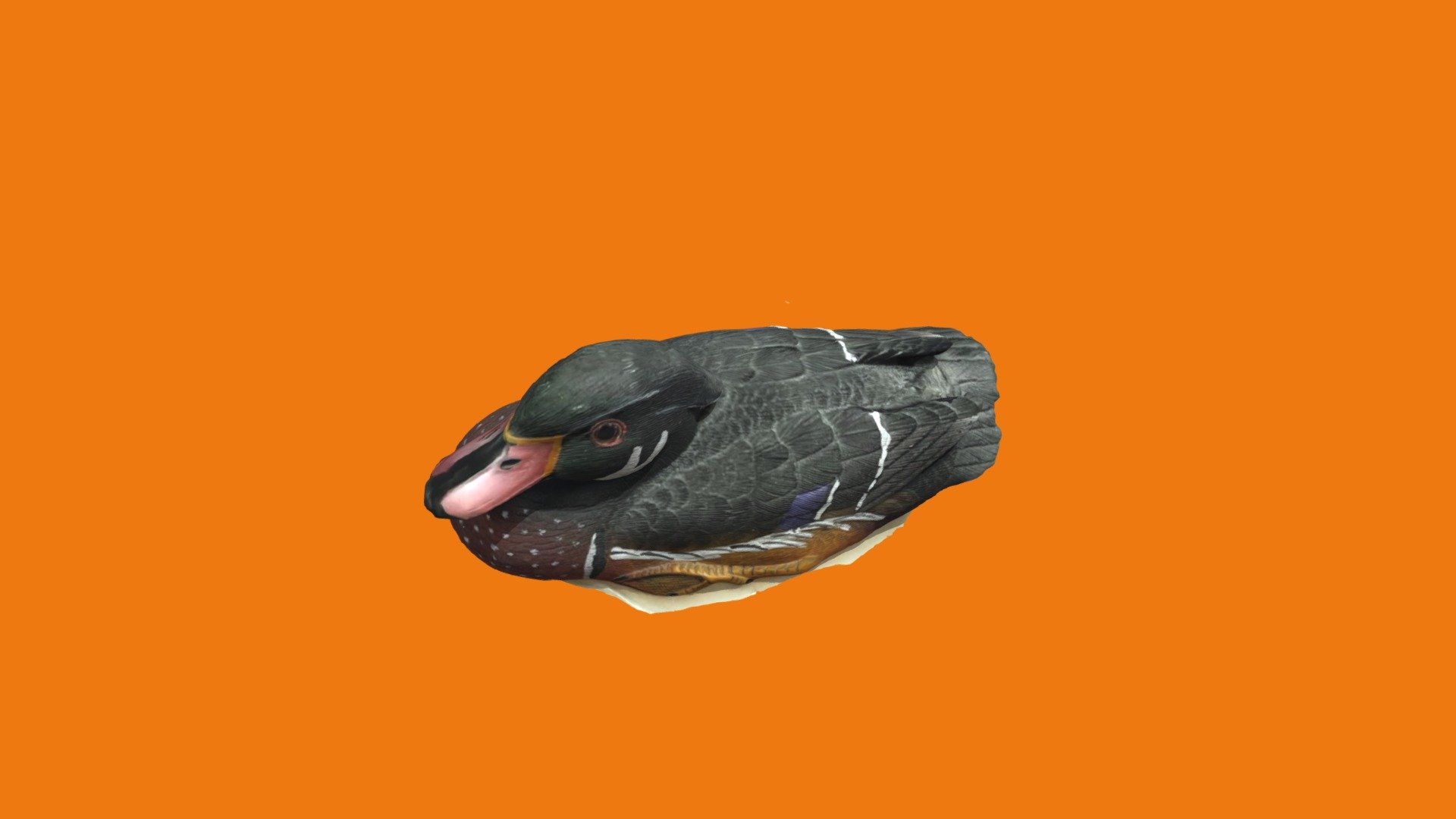 8PPLT09HaZ-obj - 3D model by evsudano [2968037] - Sketchfab