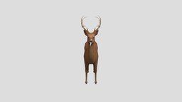 Carabao - Download Free 3D model by salarchana55 [a36a1ab] - Sketchfab