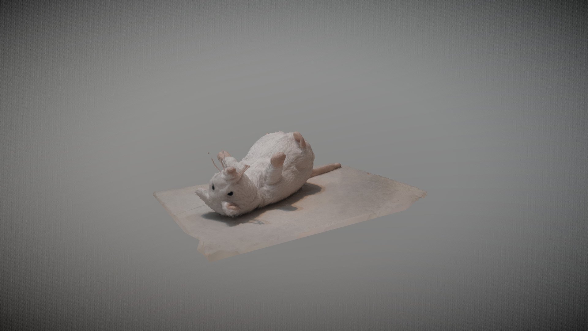 Mouse - 3D model by mokatiszu [2970495] - Sketchfab