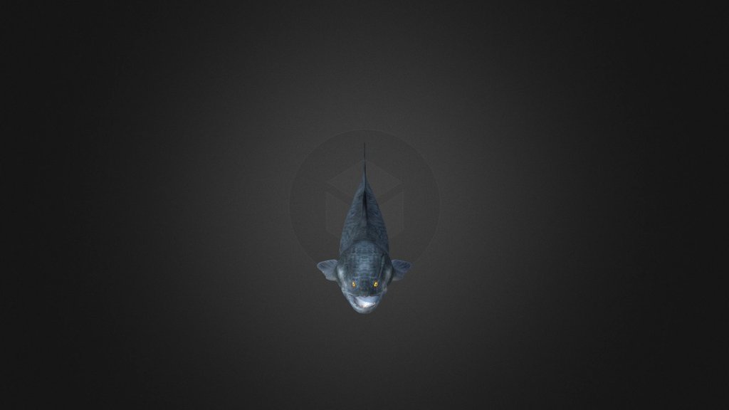 Psarolepis - 3D model by iTechnol [29769b2] - Sketchfab