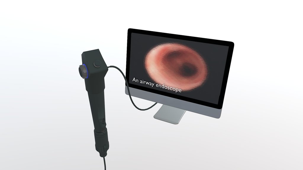 Clinical Path - A 3D model collection by 星医療酸器 (@7634hosi) - Sketchfab