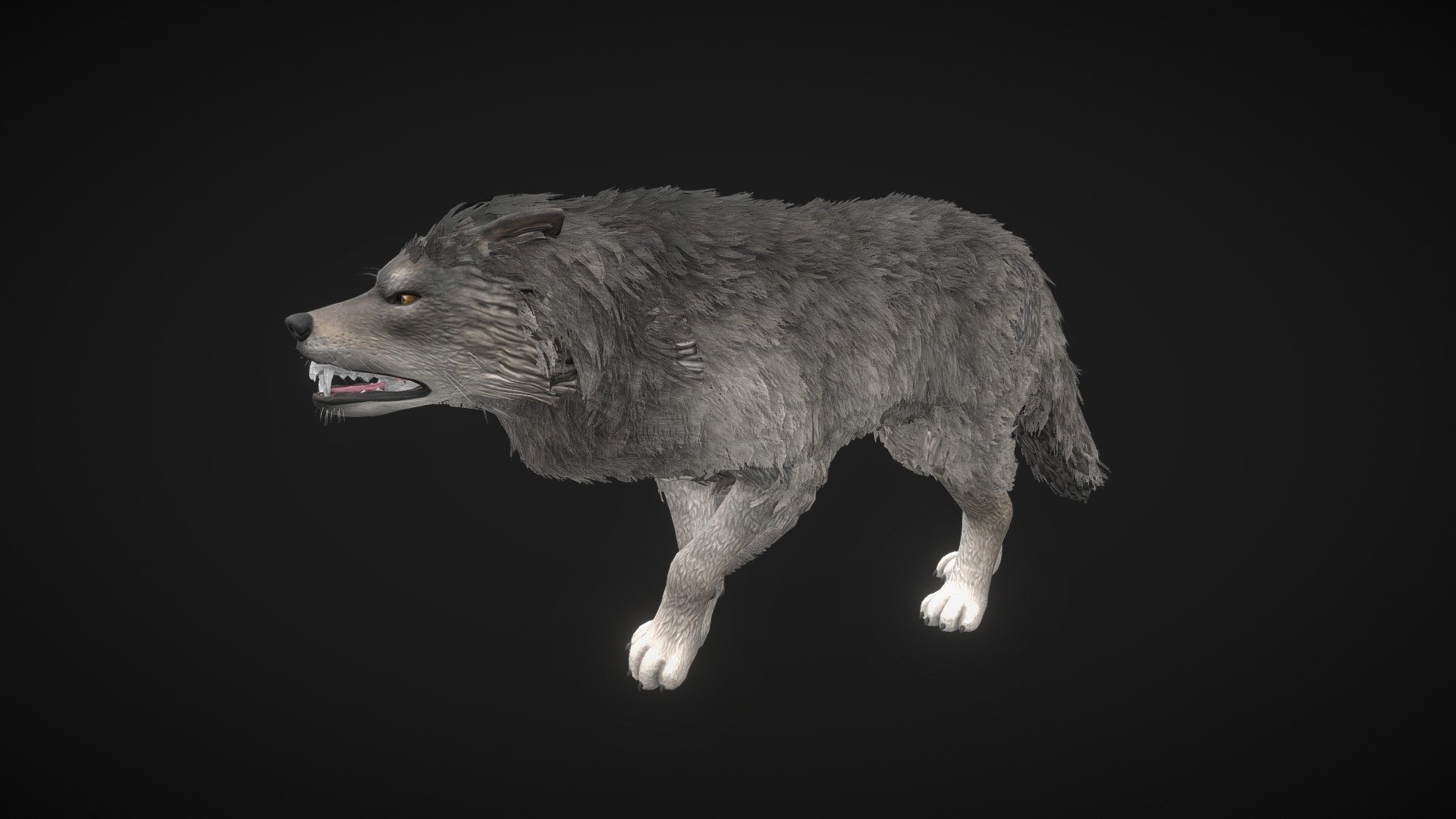 Realistic Wolf Rigged And Animated - 3D model by vukhiemton [298b924 ...