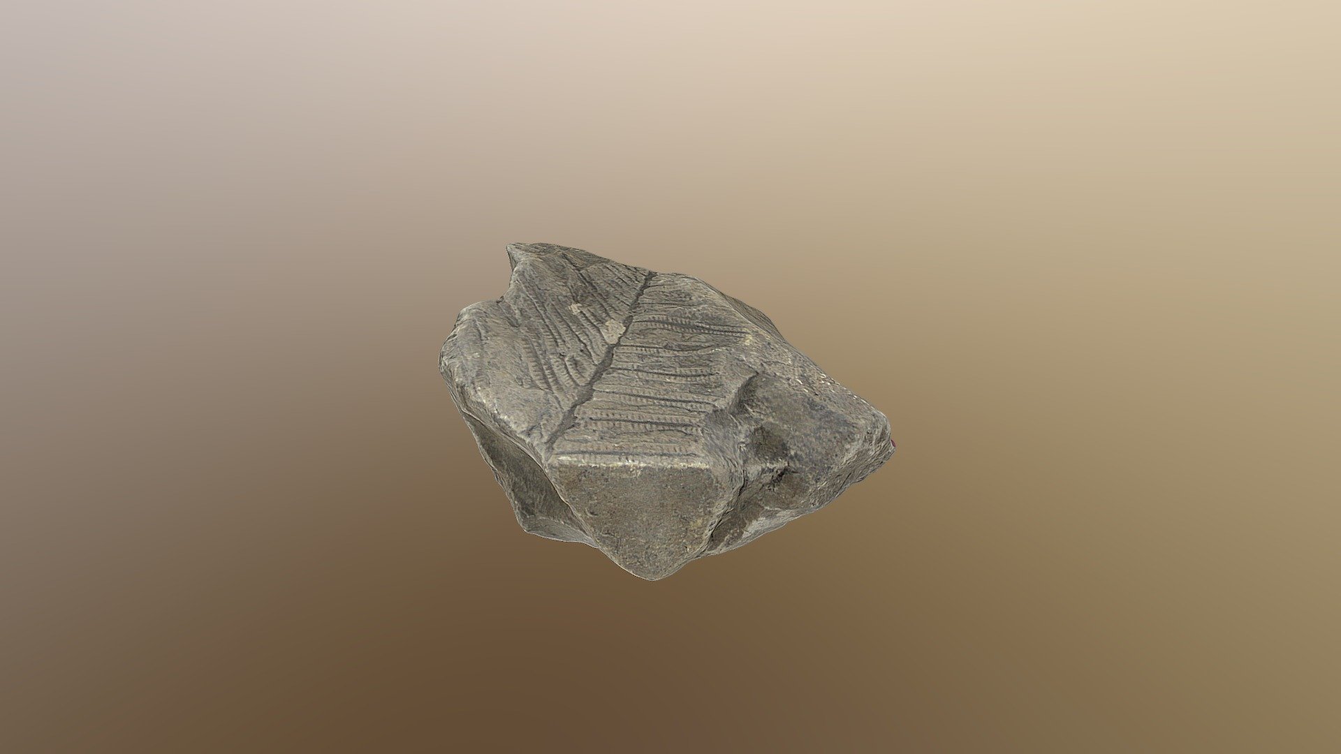 Flora - 3D model by liliooon [299927c] - Sketchfab