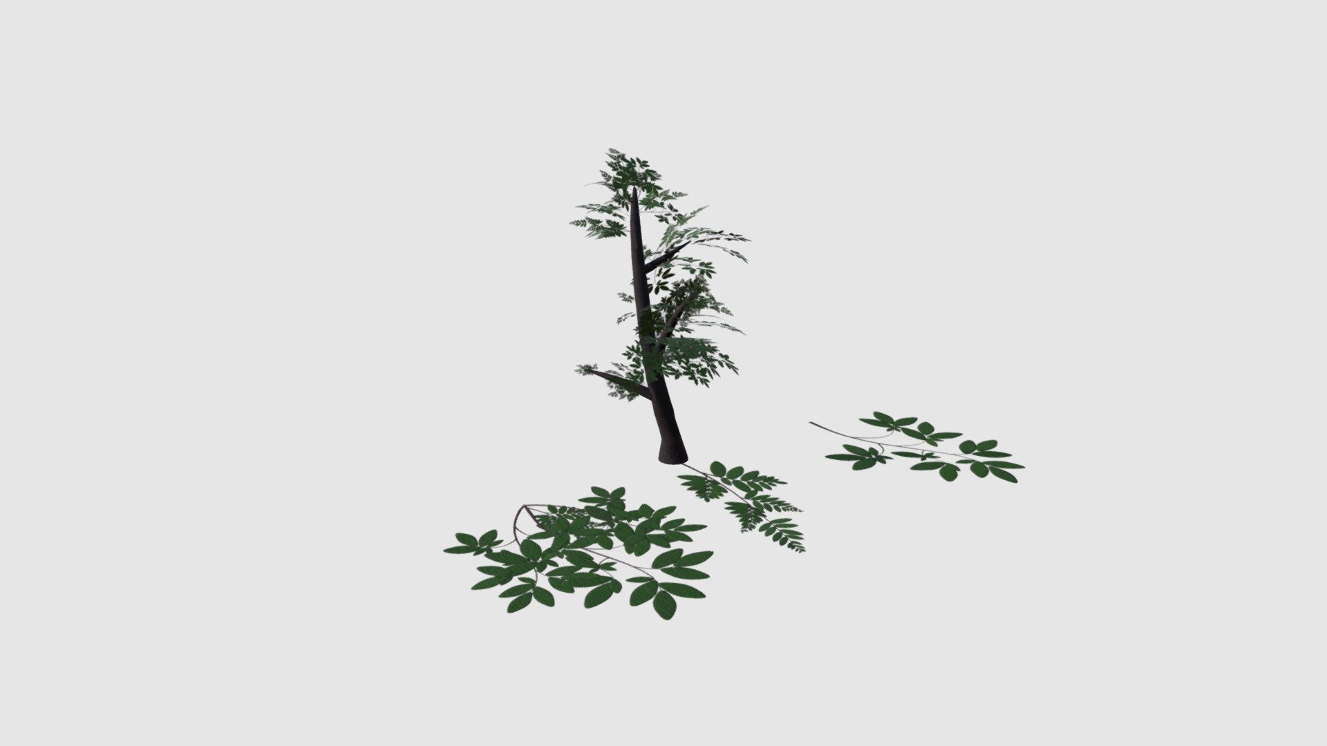 Simple Tree Sketchfab Weekly Challenge - 3D model by Maxwell Walton ...