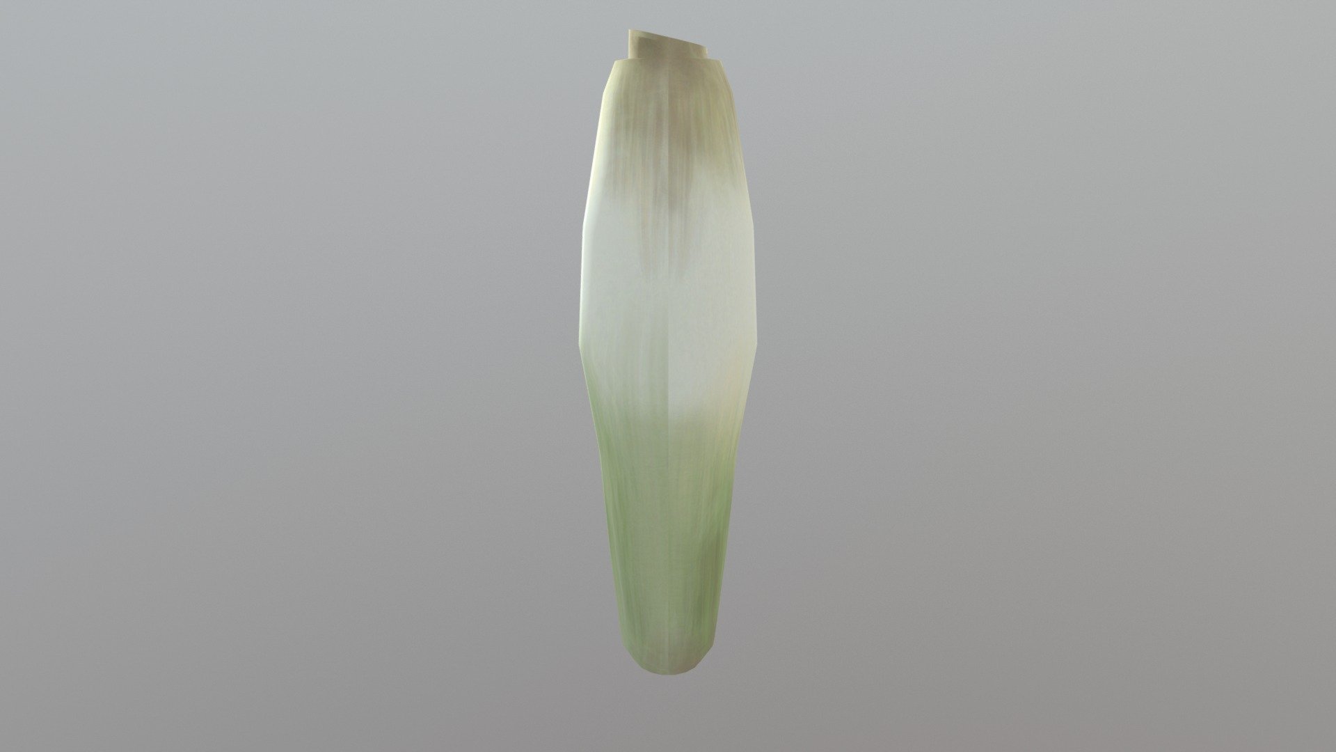 Leek - Download Free 3D model by iMMERSiVELY [299f658] - Sketchfab