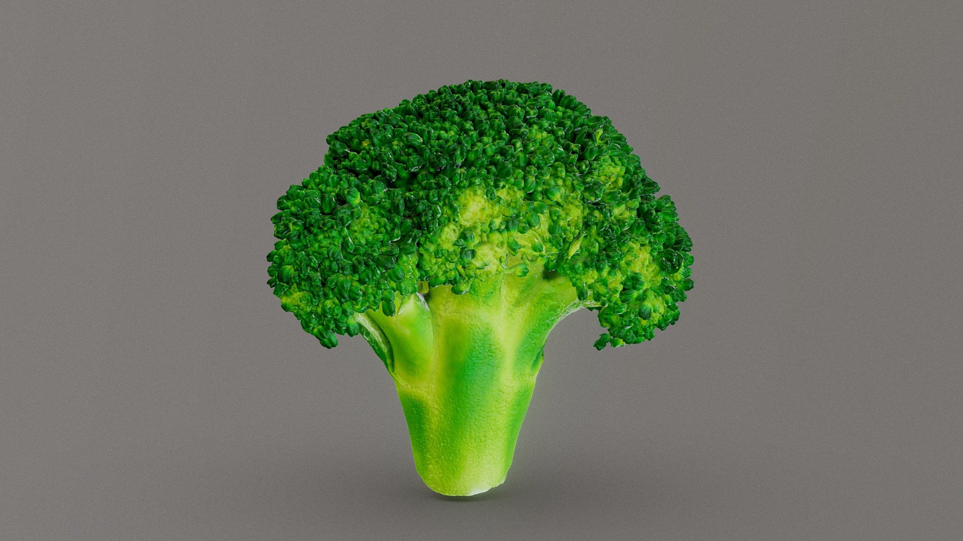 [3d scan RAW MESH] broccoli - 3D model by 3D scan studio "iris" (@ss ...