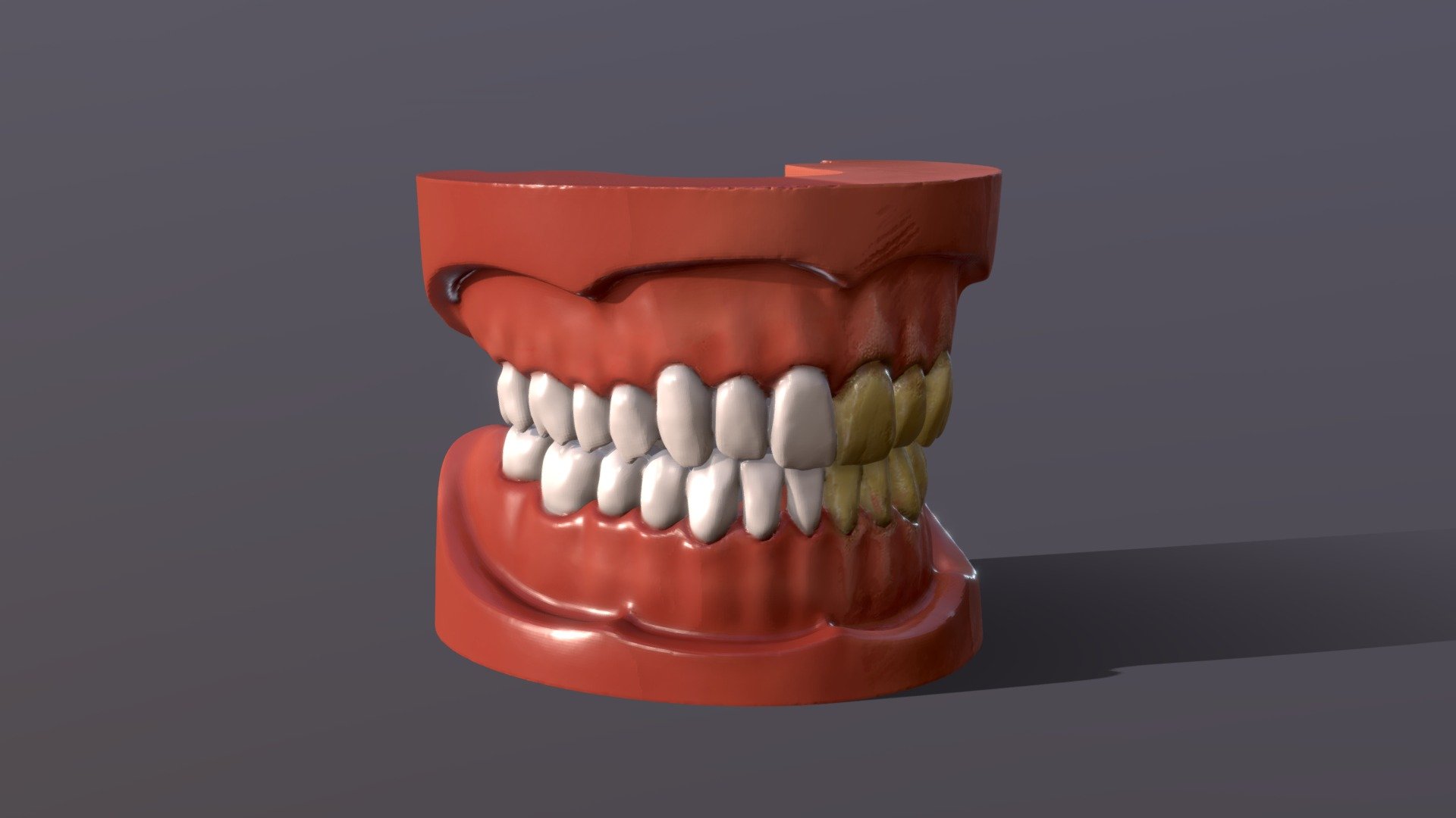 TEETH - PARROCK DENTAL - 3D model by asalston1984 [29a190c] - Sketchfab