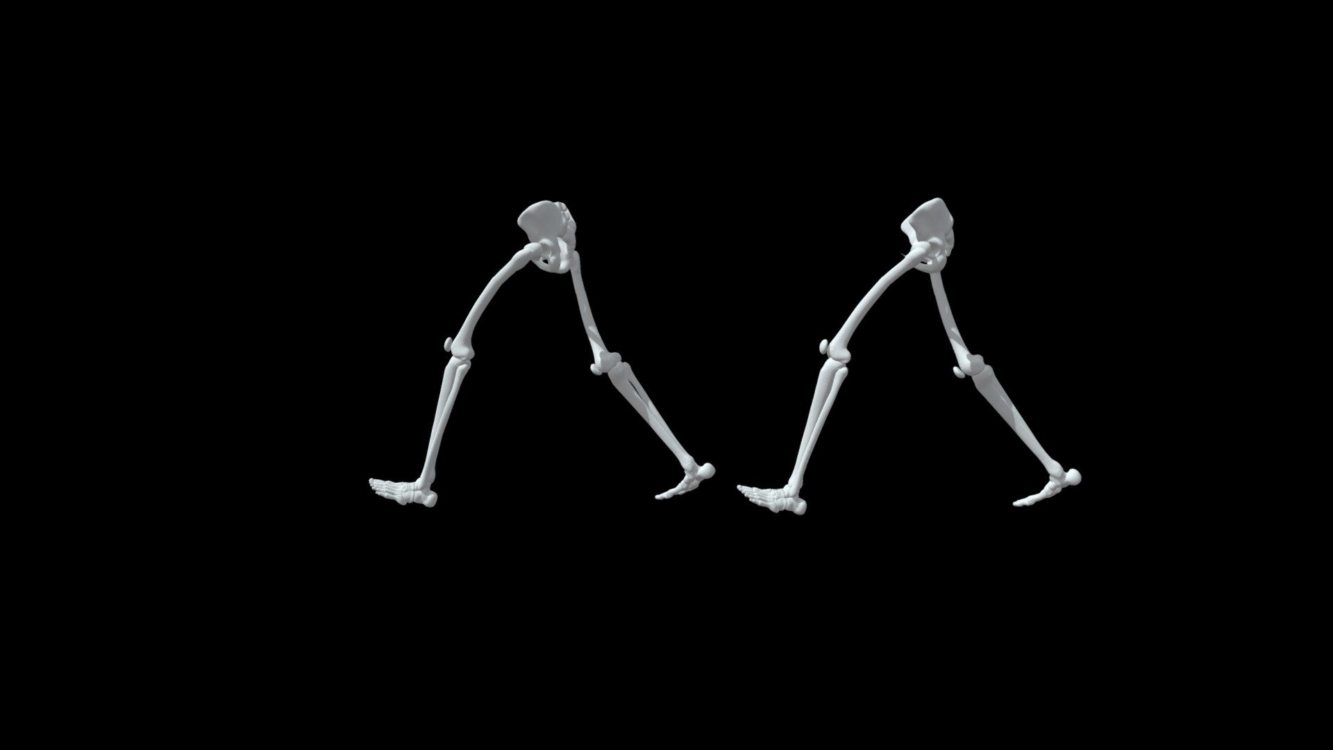 Both Legs Walking - Download Free 3D model by Taciturn (@celestialhavoc ...