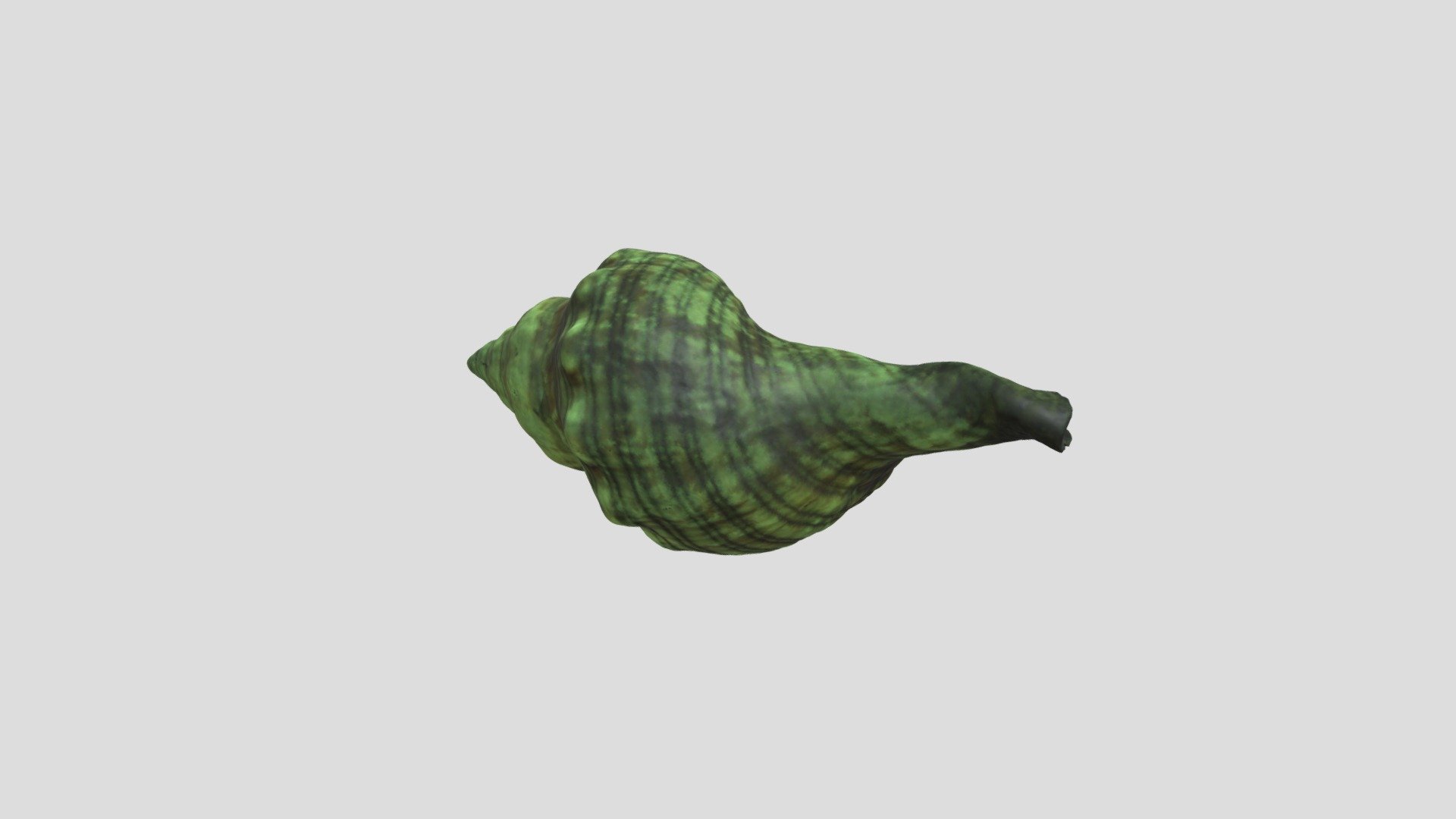 Shell - Download Free 3D model by Nancy/Lanzi Luo (@Thunk3D-Nancy ...