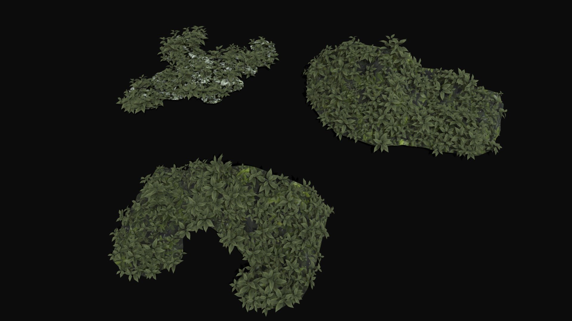 Shrub - Download Free 3D model by local.yany [29b7217] - Sketchfab