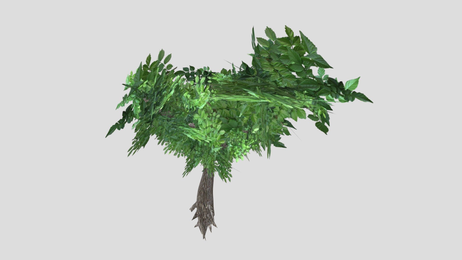 Low Poly Tree - Download Free 3D model by fed0rochka1987 [29bc9b2 ...