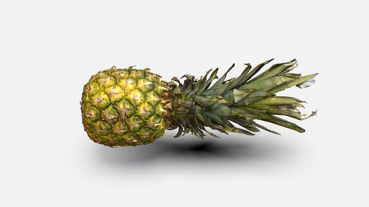 Rema 3D models - Sketchfab