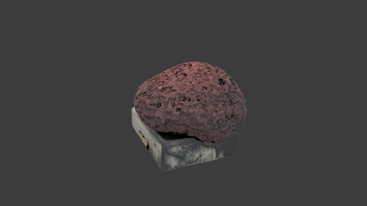 Red-sea 3D models - Sketchfab