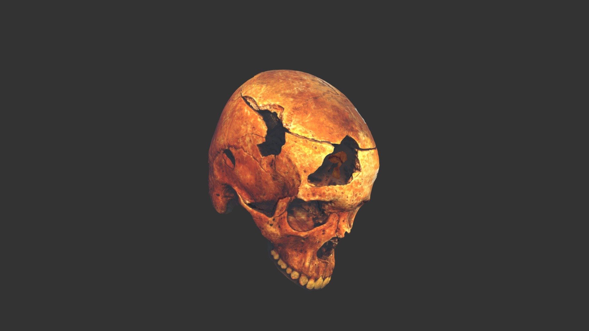 Crânio 29 - 3D model by dr.miamoto [29c26fa] - Sketchfab