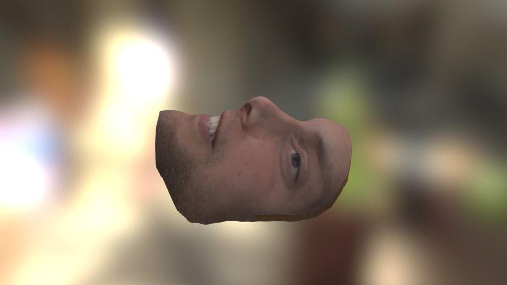 Faces scans downloadable - A 3D model collection by Heinrich Kramer ...