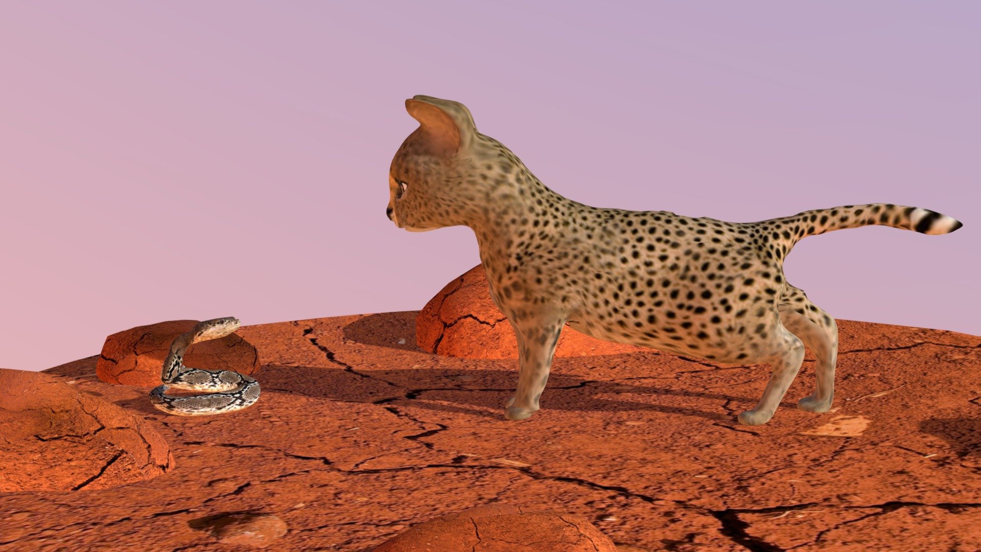 Baby leopard (Animated) - 3D model by cecile boxberger (@cecile ...