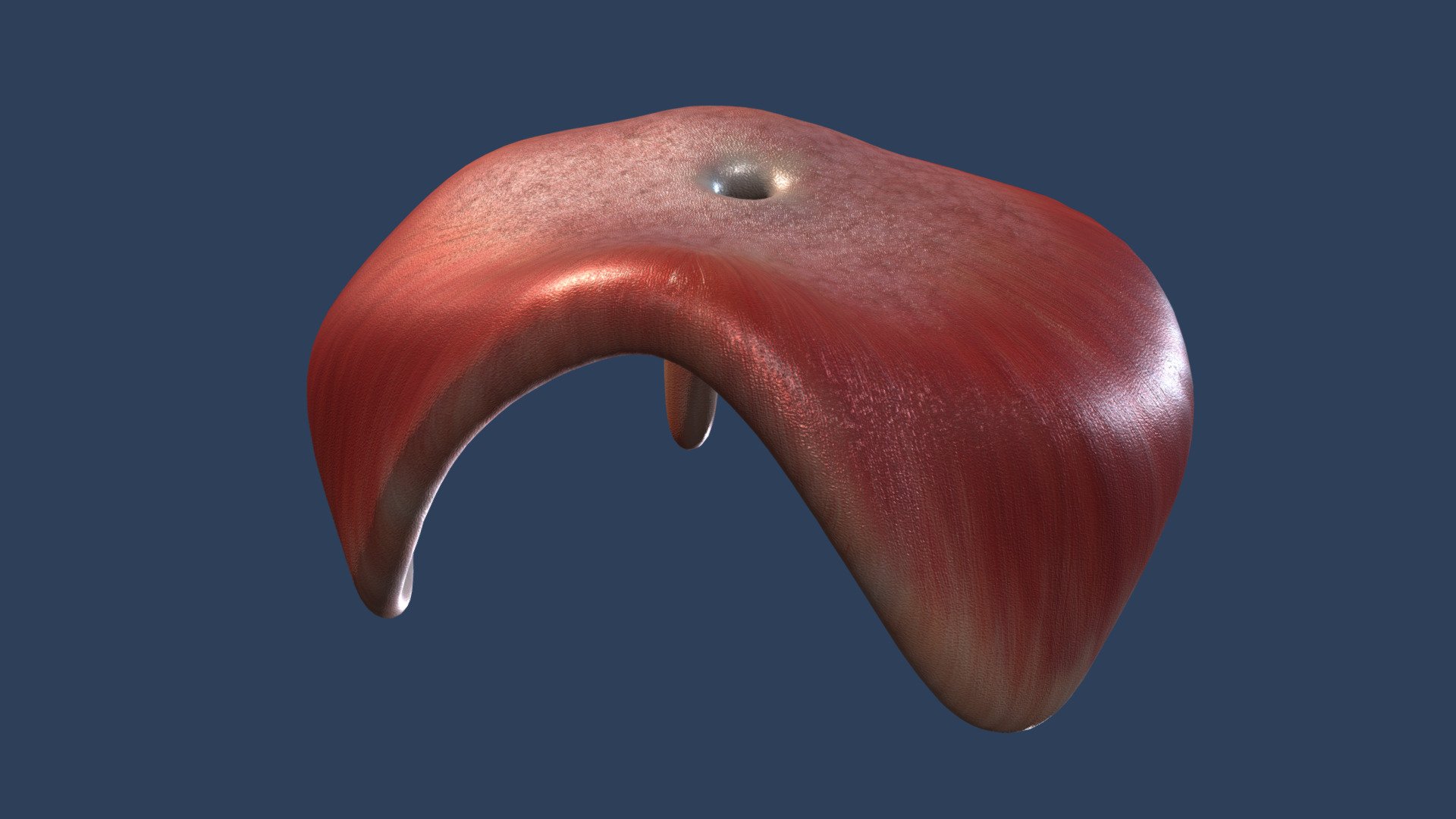Diaphragm Animation - Buy Royalty Free 3D model by flarar-01 (@flarar ...