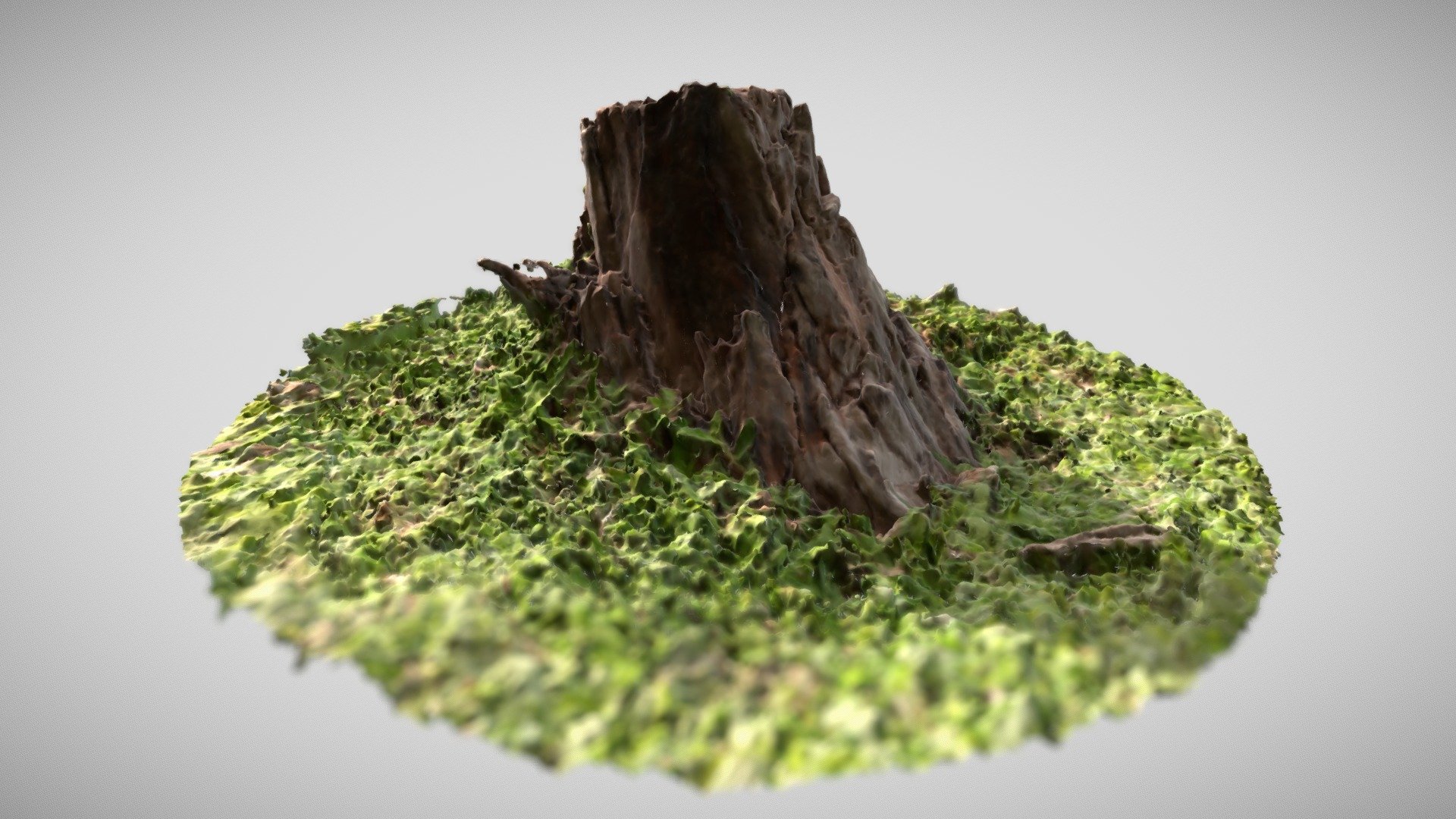 Tree Trunk - Download Free 3D model by efthakarahmedramim (@ramim ...