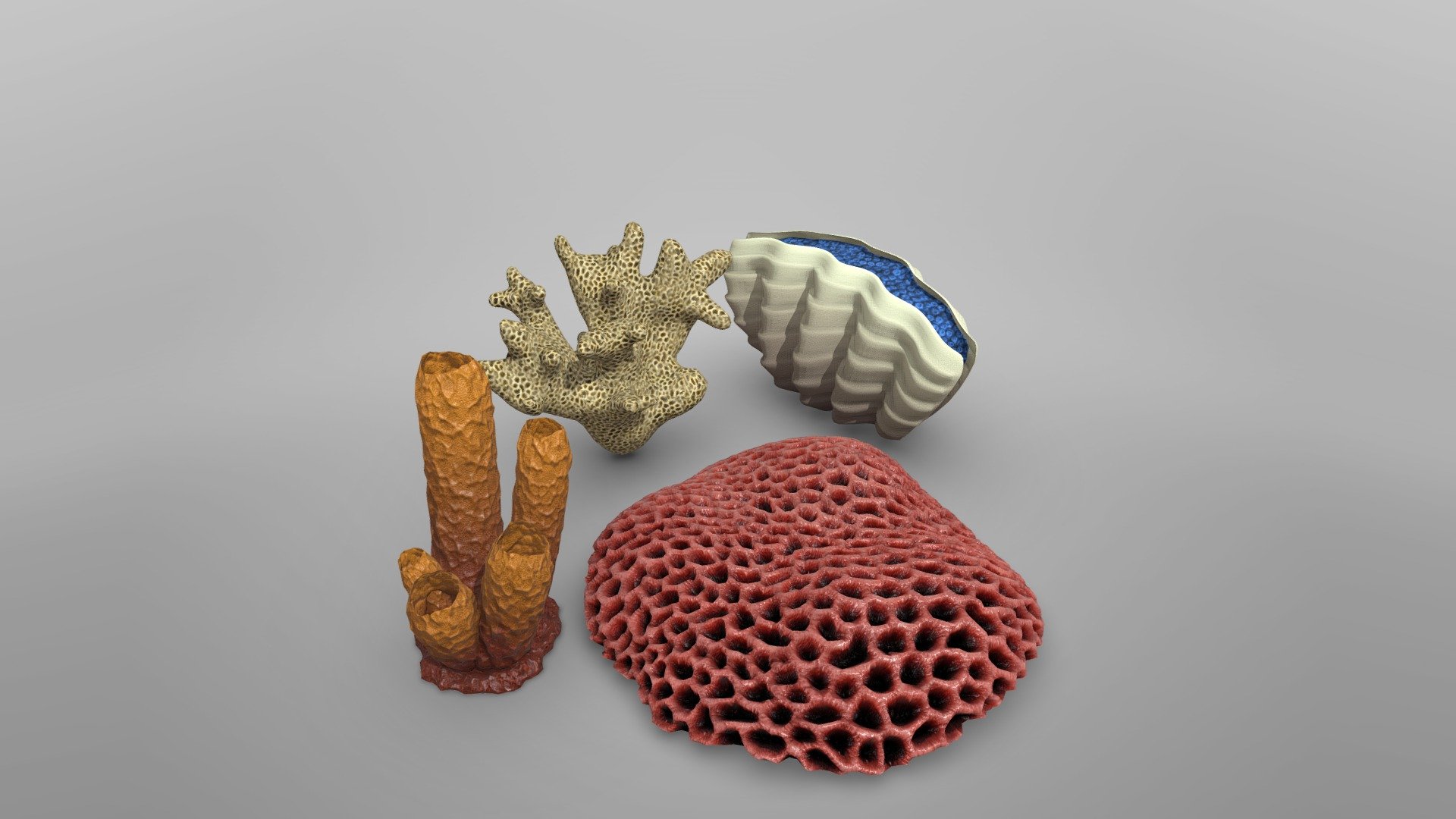Lowpoly Coral Pack - Download Free 3D model by assetfactory [29d5be0 ...