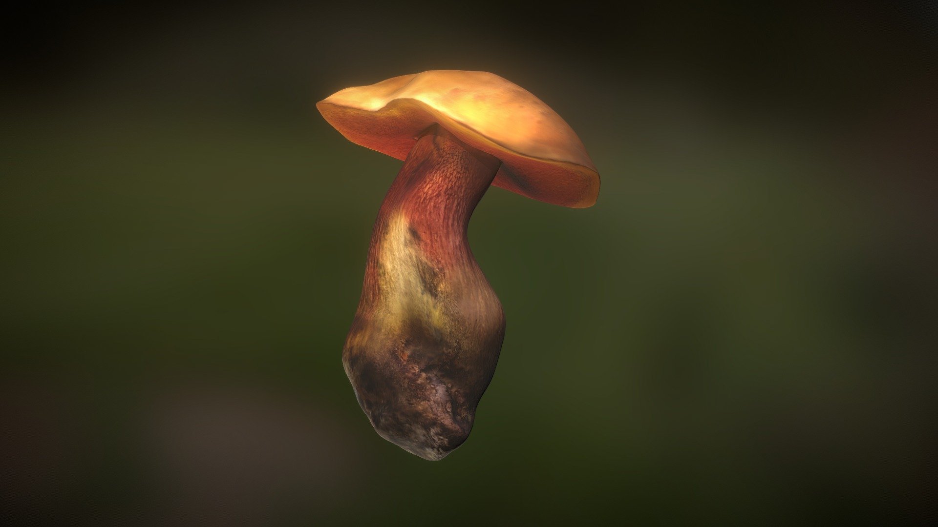 Boletus - 3D model by tomduv (@tomduv-) [29e1294] - Sketchfab