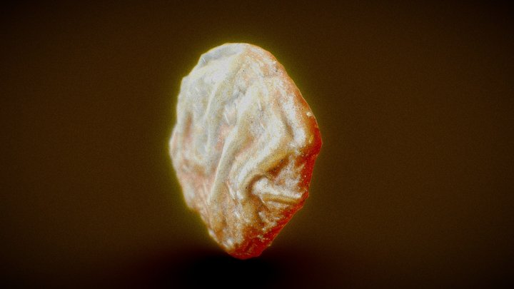 Nugget 3D models - Sketchfab