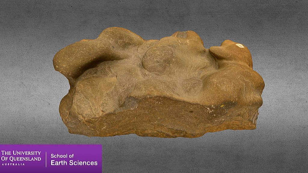 Sedimentary Structures - Sole Marks - 3D model by nate_siddle (@nate ...
