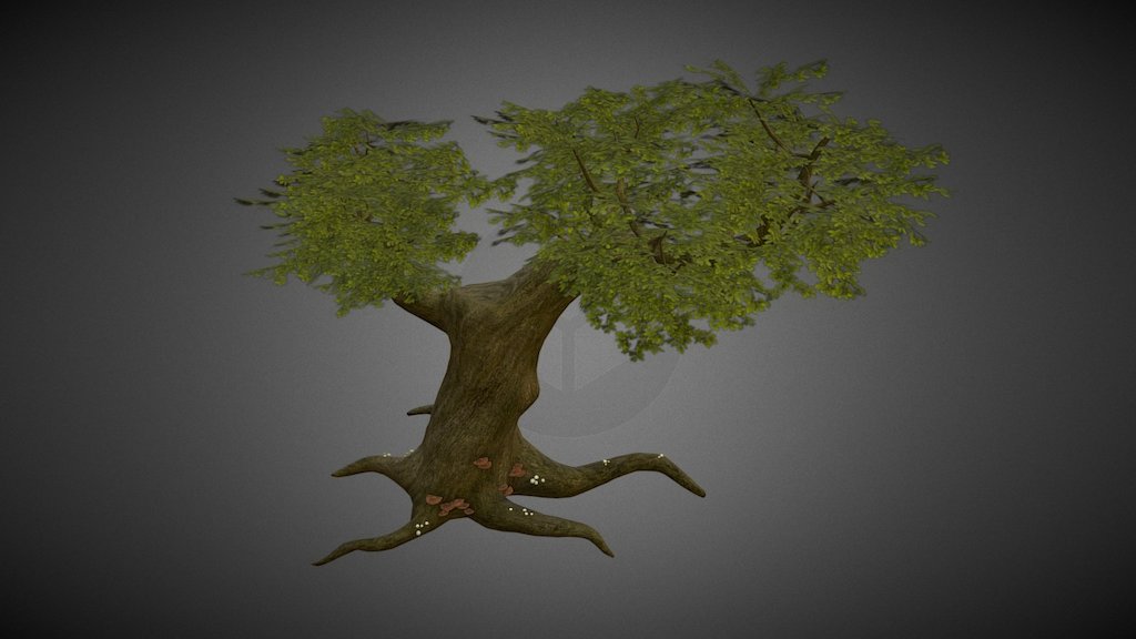 Tree - 3D model by Xavier Tumblod (@xaviertumblod) [29f9e4a] - Sketchfab