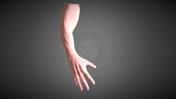 First-person-arm 3D models - Sketchfab