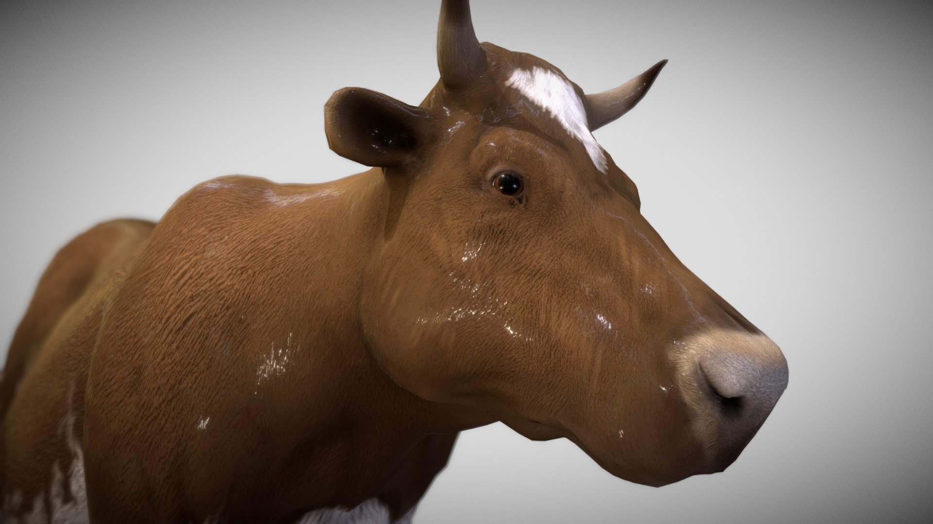 Cow – The Gentle Grazer of Fields and Farms - 3D model by robertfabiani ...