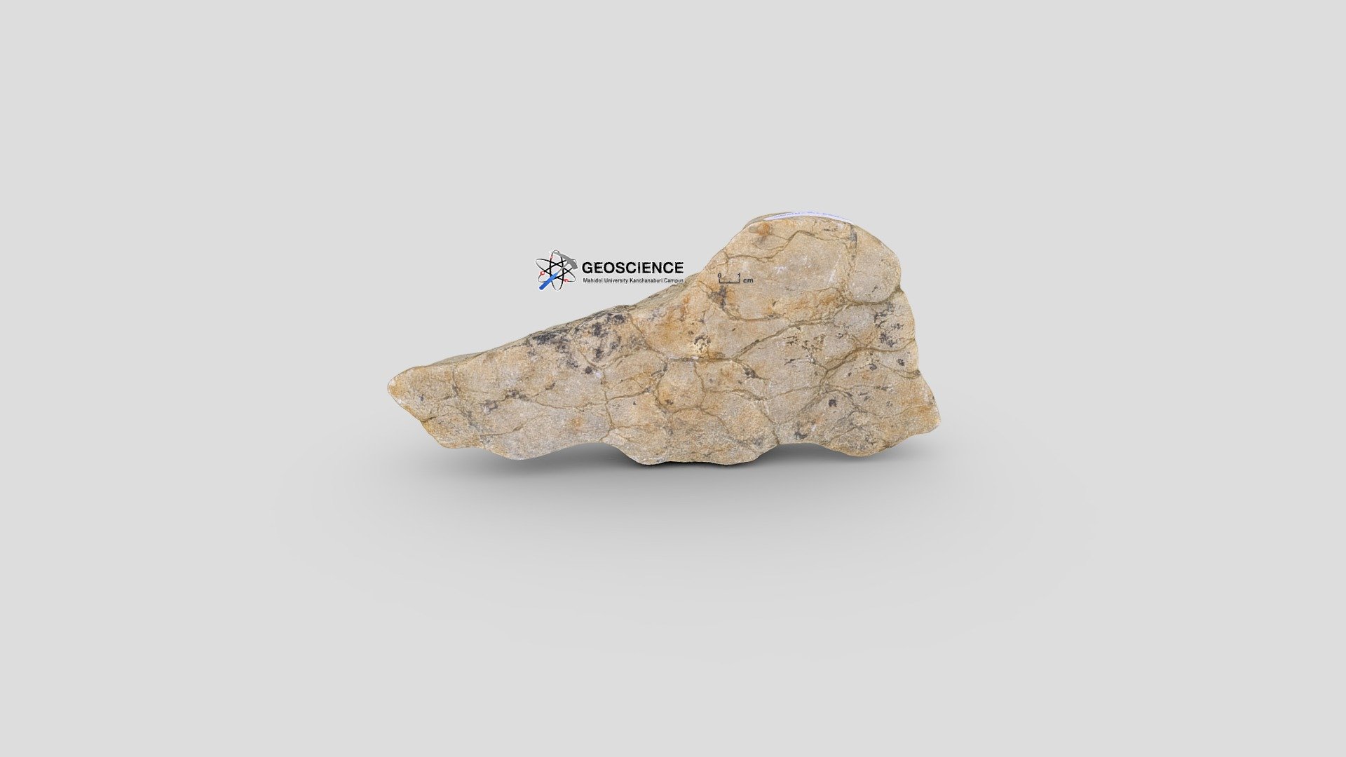 Limestone - Download Free 3D model by Kantanat [2a031c2] - Sketchfab