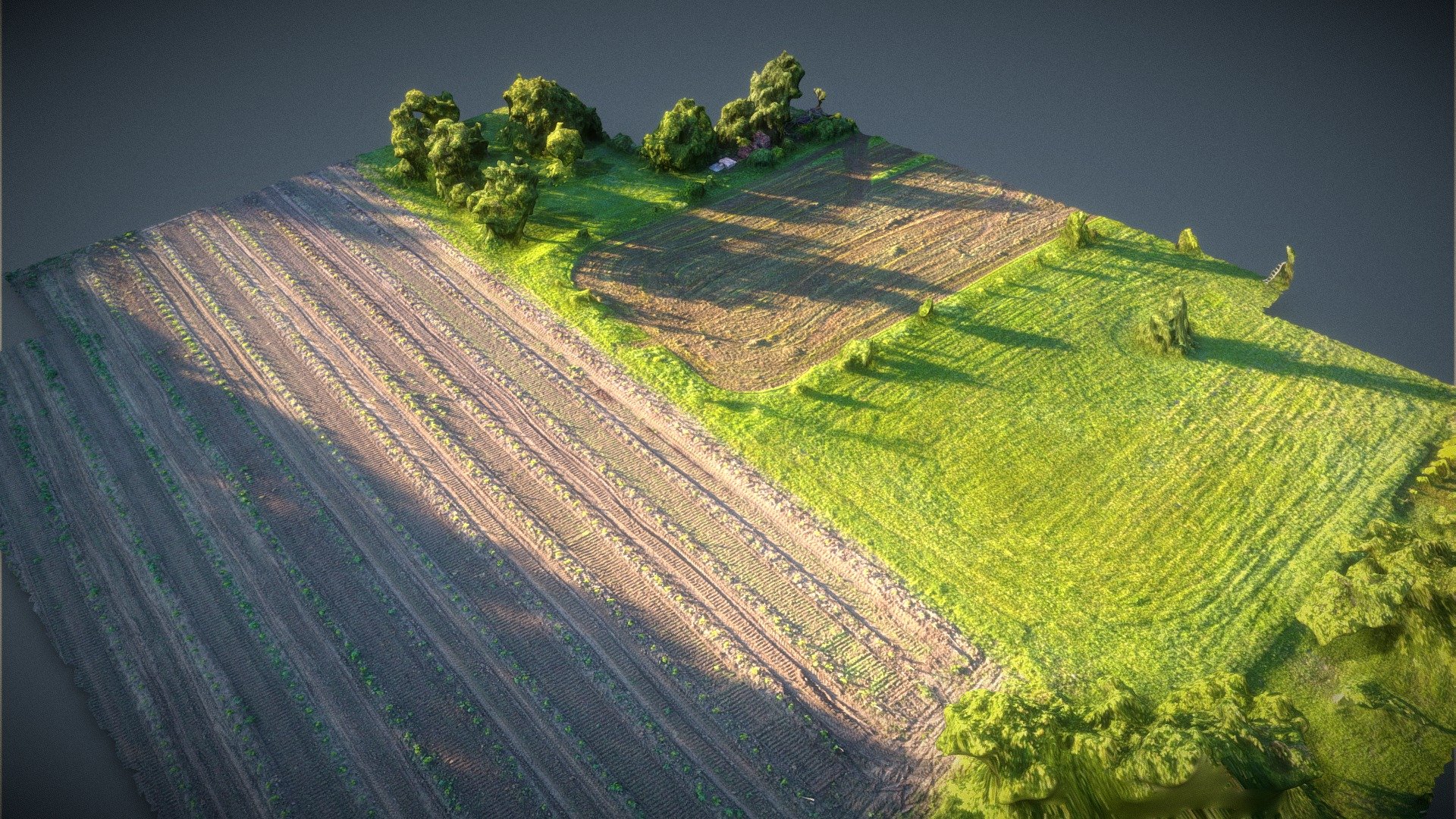 Field and Garden - Download Free 3D model by Dominik Hagmann (@dominik ...