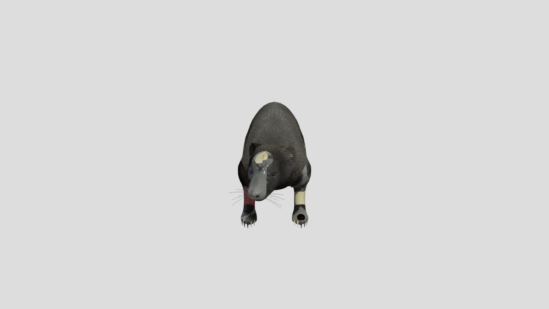 Badger prueba 01 - 3D model by adpardo1 [2a13a3c] - Sketchfab