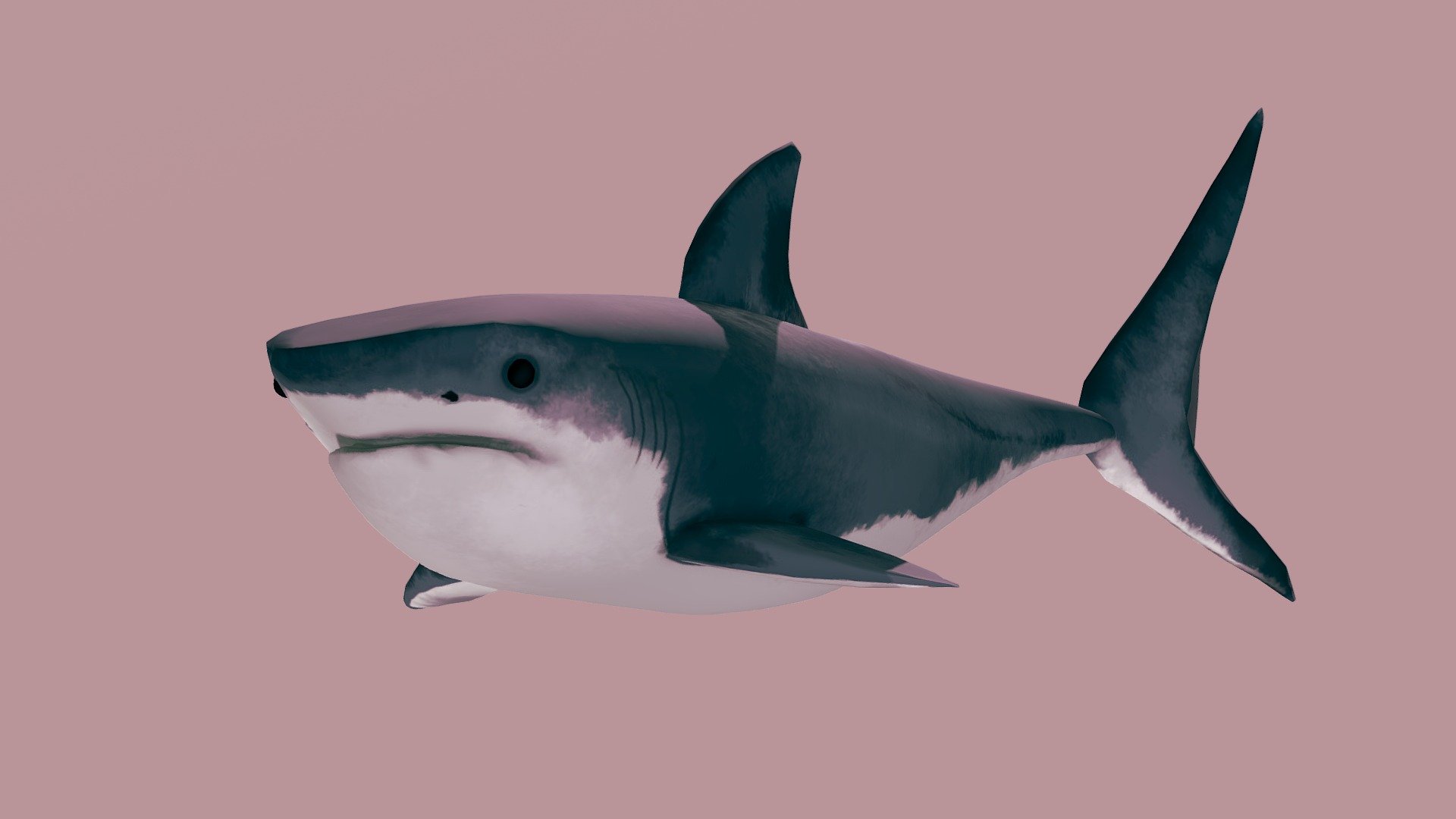 SHARK - 3D model by camiberg3d [2a14c83] - Sketchfab