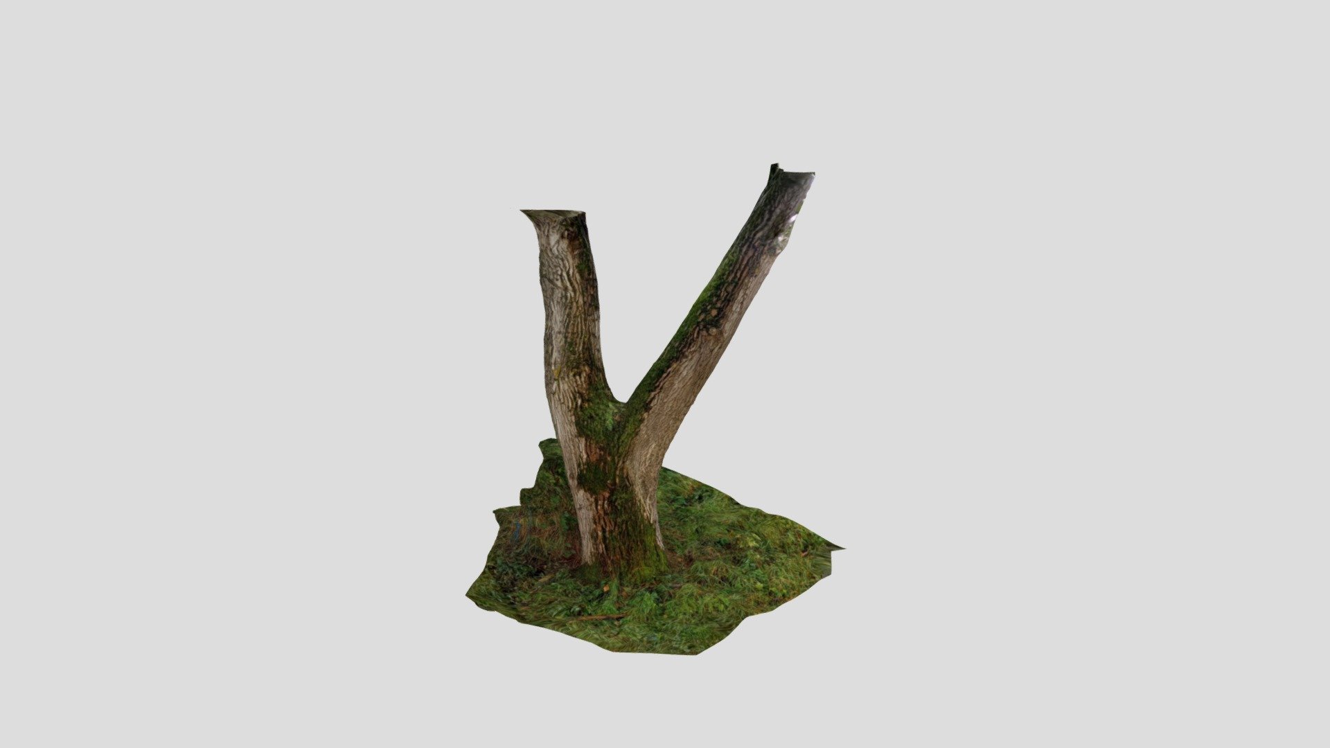 Tree Trunk - Download Free 3D model by RG36c [2a240f9] - Sketchfab