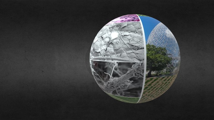 Biosphere 3D models - Sketchfab