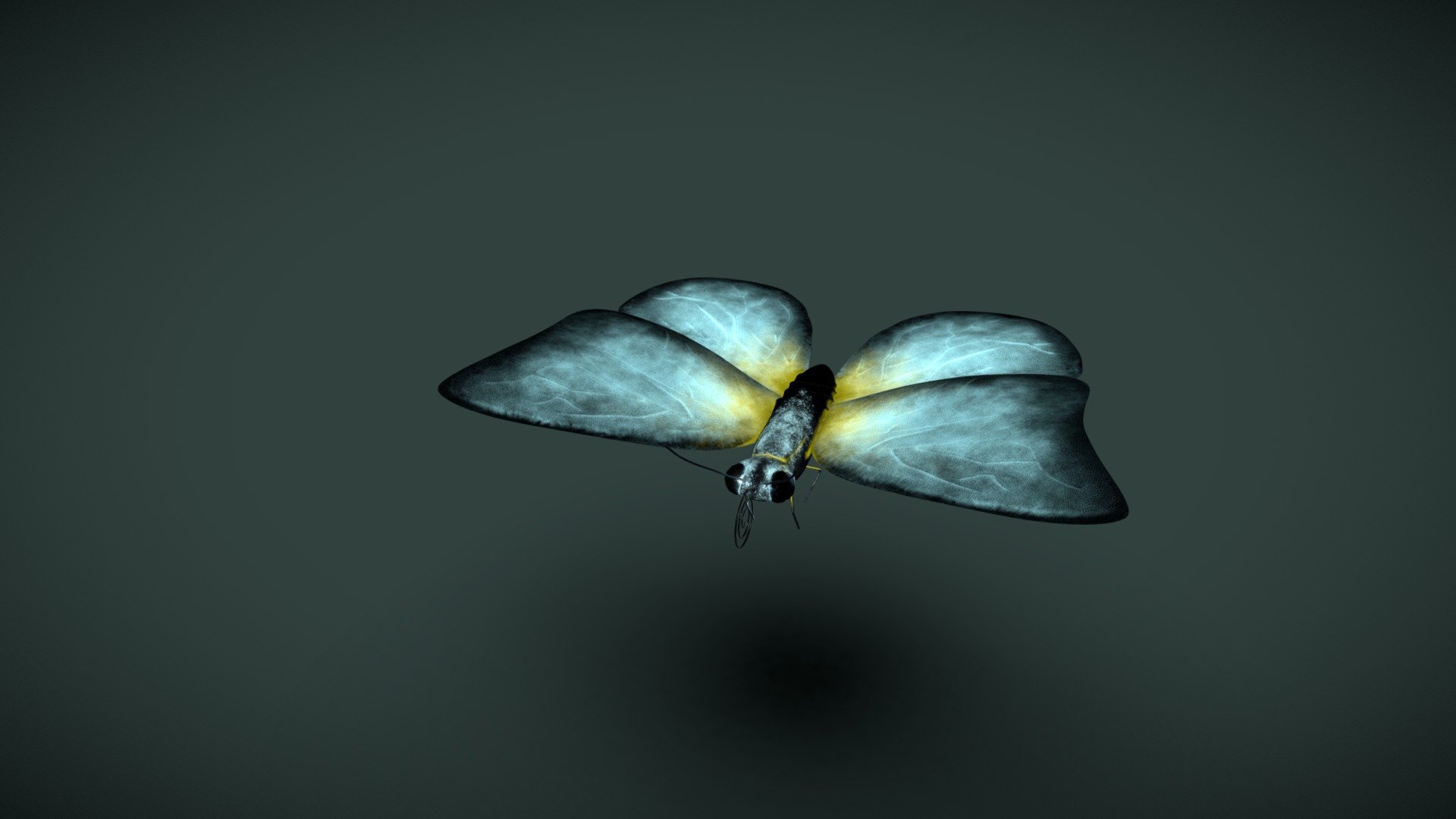luminous butterfly - 3D model by Nathan ROBERT (@vinscoz) [2a3e64f ...