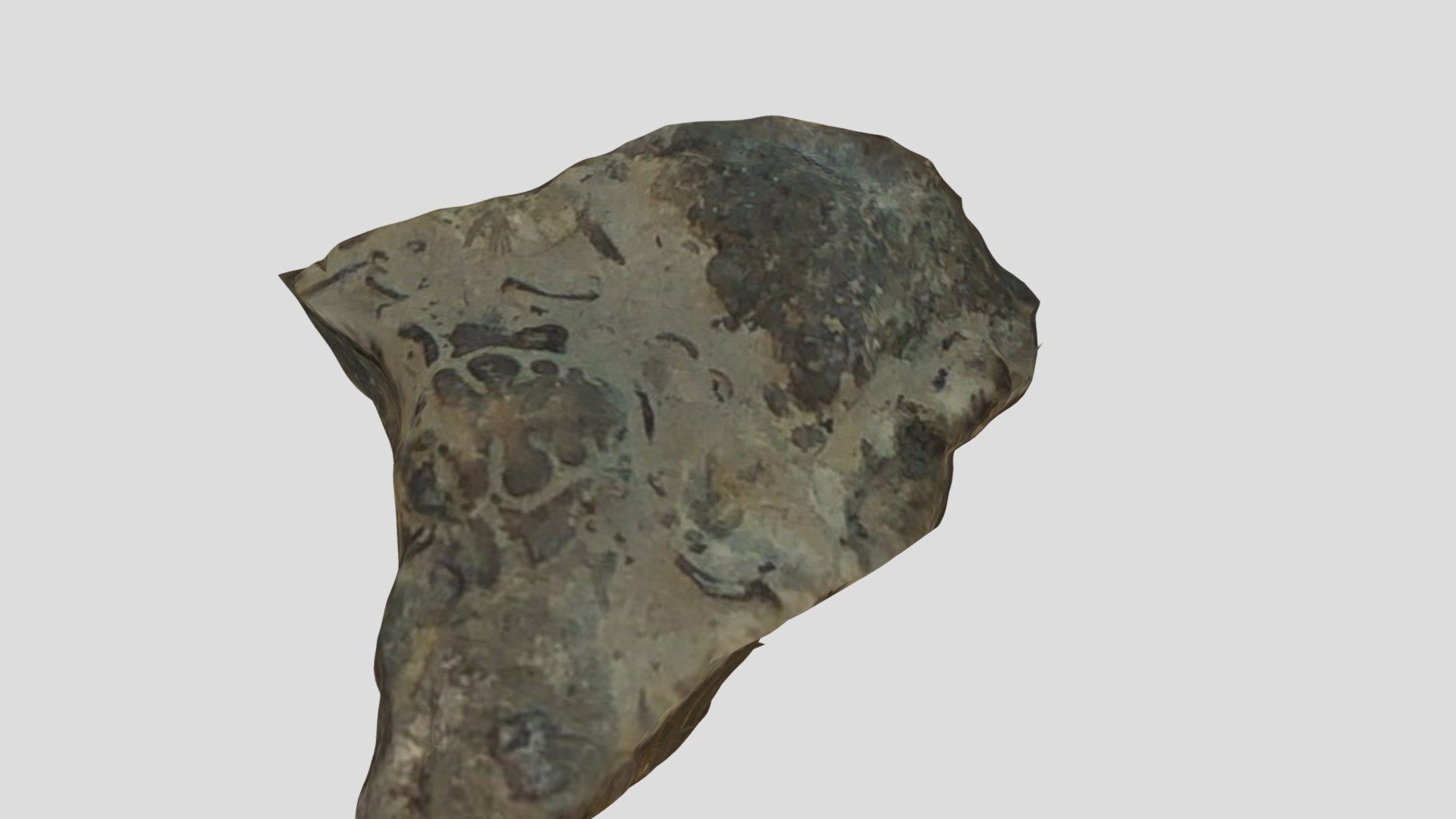 Madison fossil 01 - Download Free 3D model by Grand Rapids CC - Geology ...