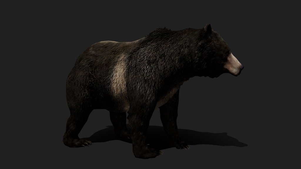 Realistic Animals - A 3D model collection by WildMesh 3D (@WildMesh_3D ...