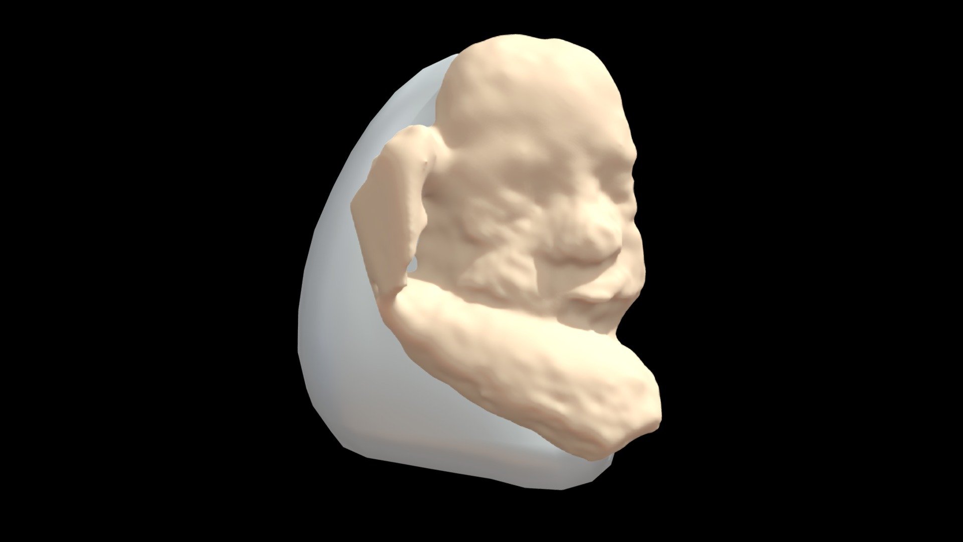 Fetus Face from US - 3D model by Tecdes SA (@tecdessa) [2a4e551 ...