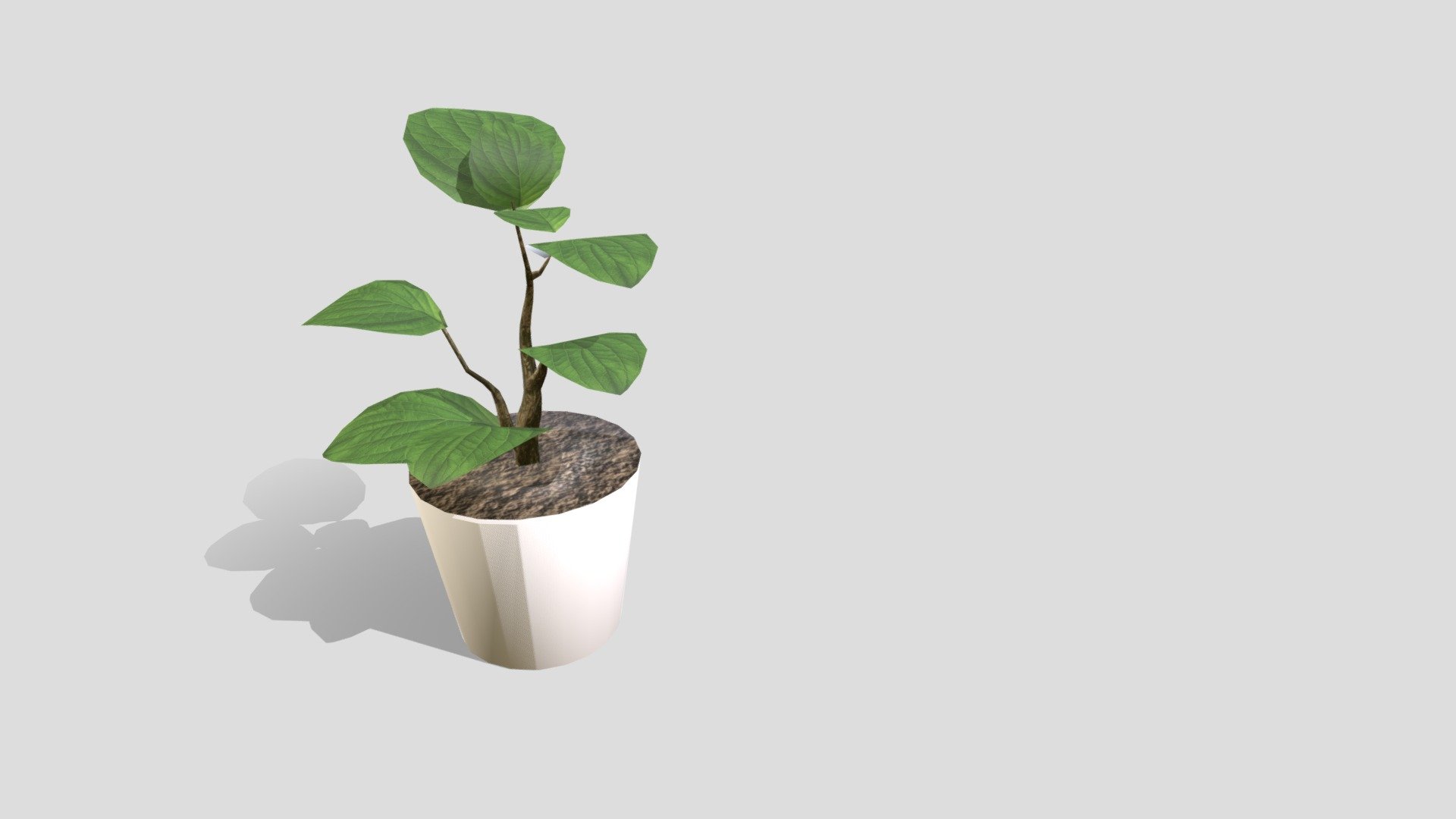 Plant Assignment - Download Free 3D model by Jessica W. (@jessicawo ...