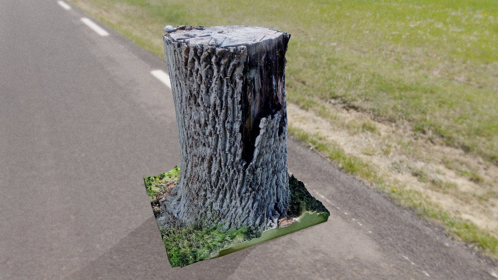 Stump - Download Free 3D model by leftaftermidnight [2a62f89] - Sketchfab
