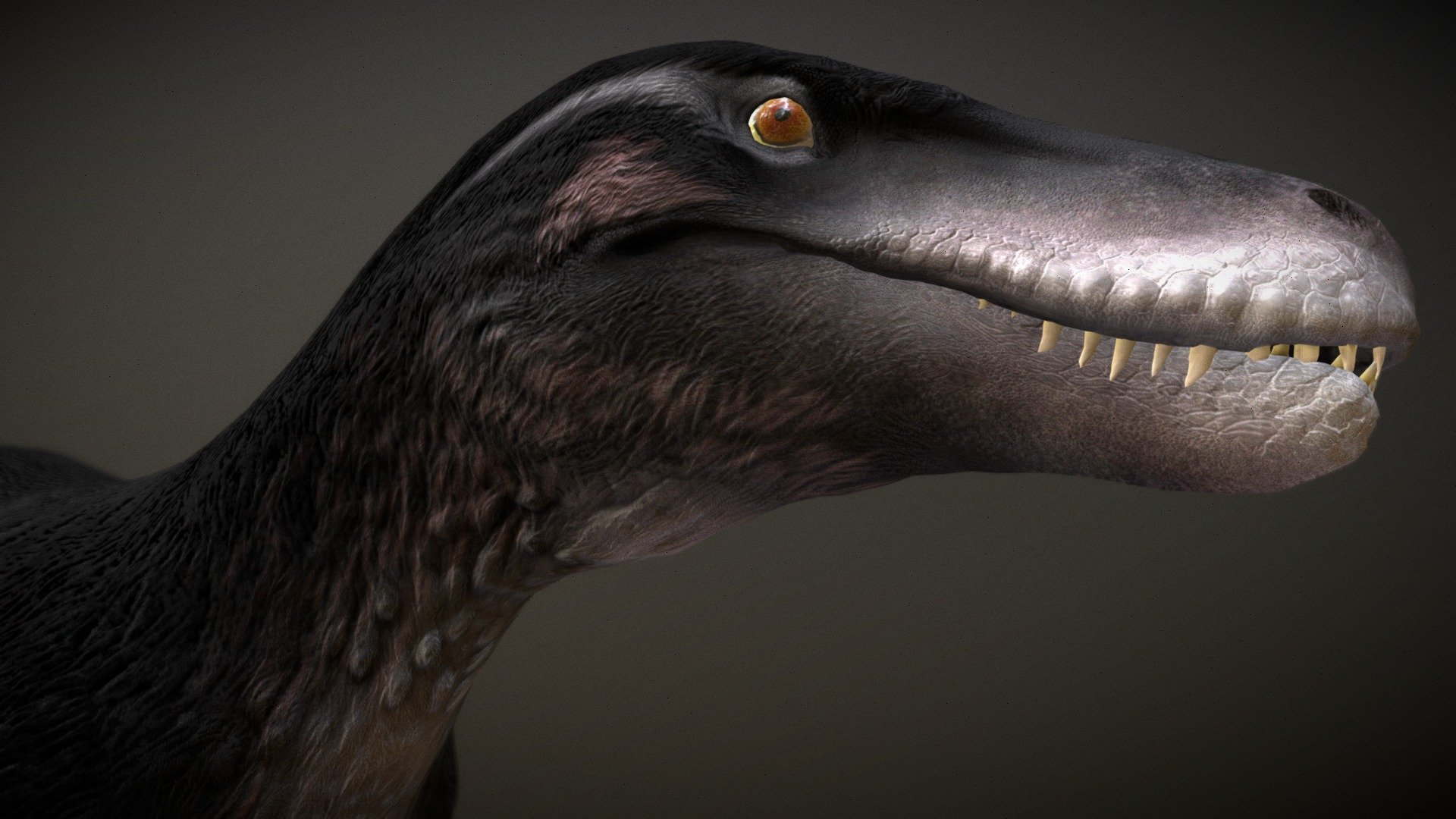 Utahraptor - 3D model by robertfabiani [2a6621d] - Sketchfab
