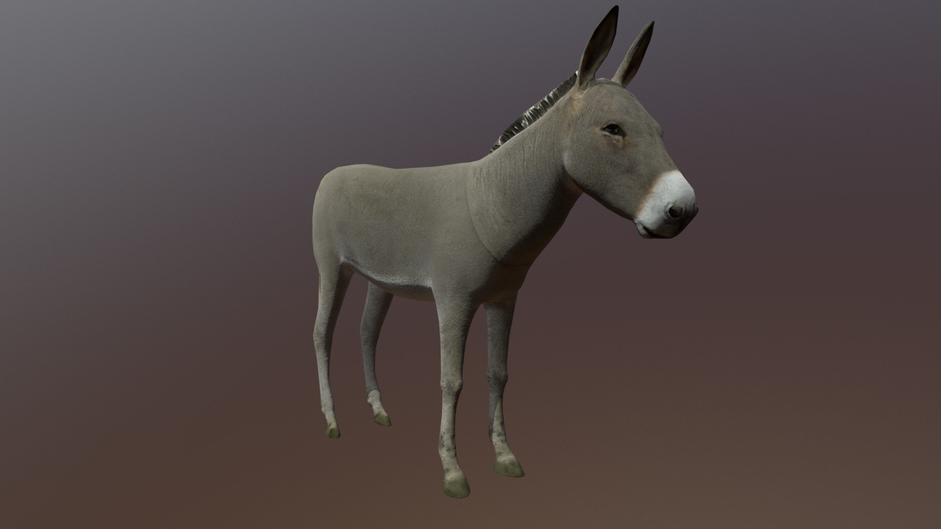 Donkey - Buy Royalty Free 3D model by 3dlowpoly [2a6e641] - Sketchfab Store