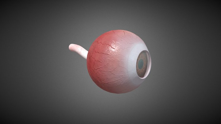 Eyeball 3D models - Sketchfab