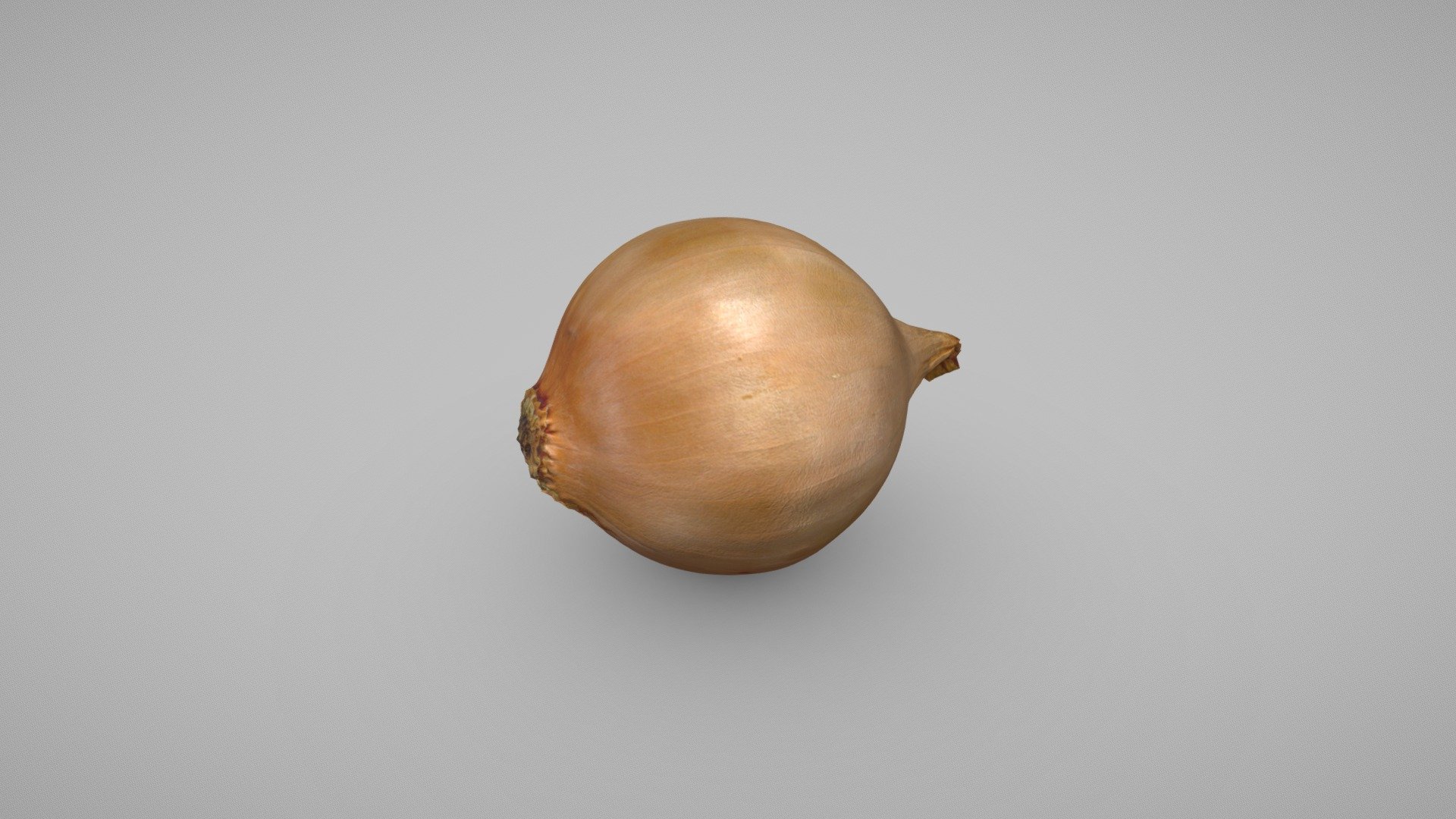 Onion - 3D model by Tore Lysebo (@torelysebo) [2a7c772] - Sketchfab