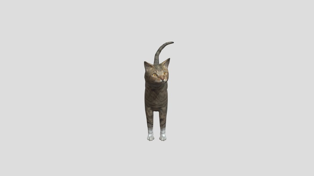 Cats - A 3D model collection by Dnicevdm (@denisevdm) - Sketchfab