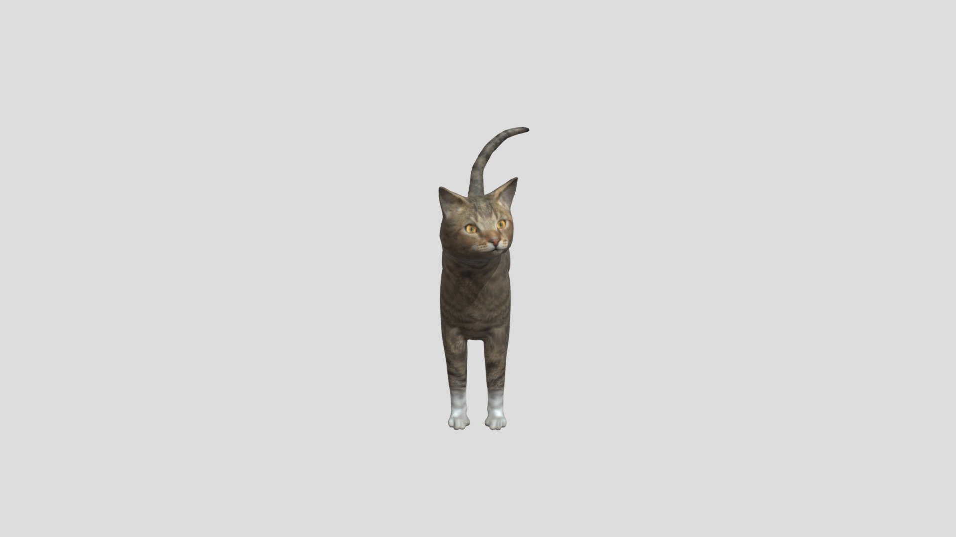 Cat Model - Download Free 3D model by TriSams (@trisams_) [2a7cfef ...