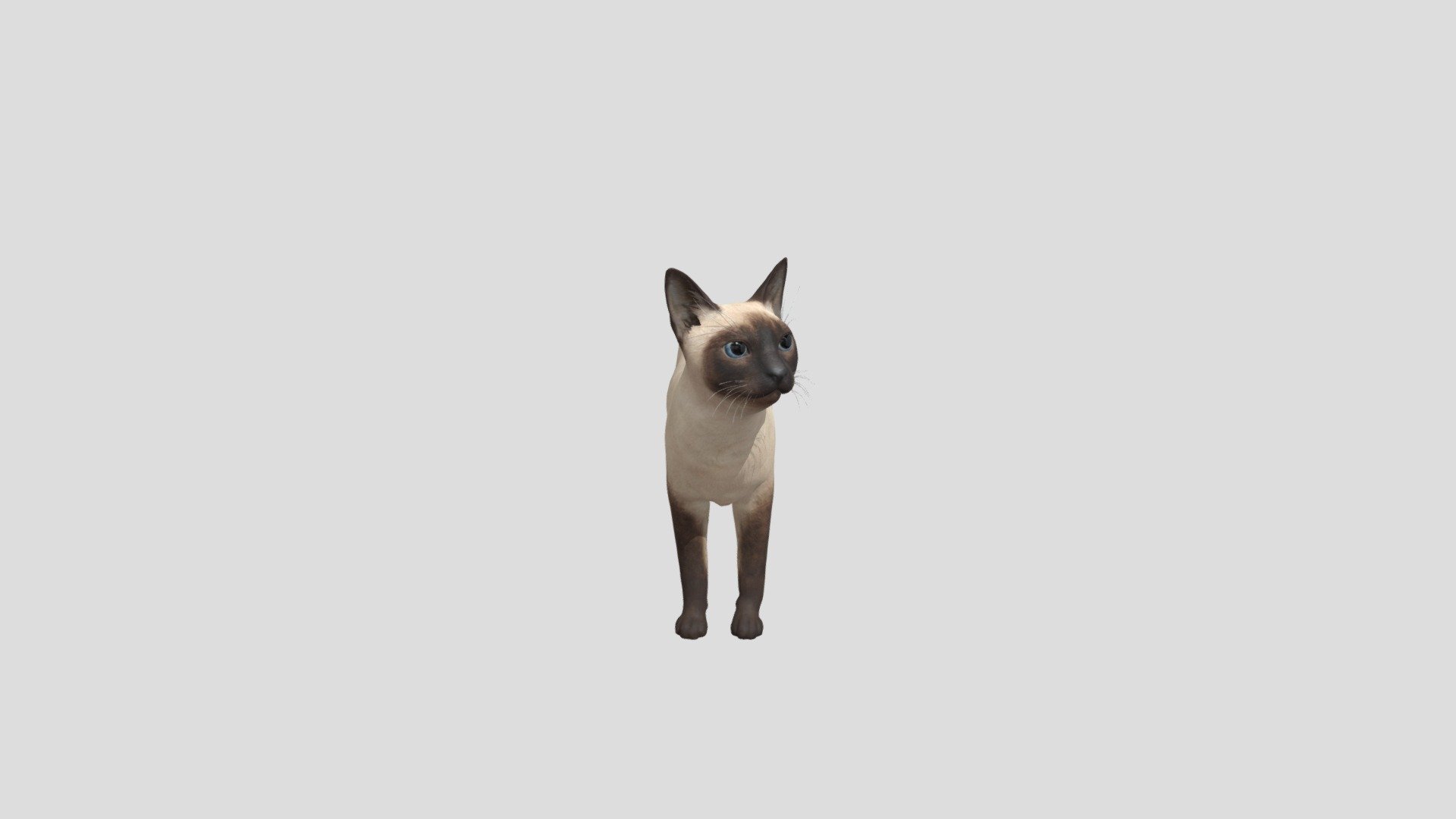Scene (Siamese) - 3D model by configgle [2a7ea72] - Sketchfab