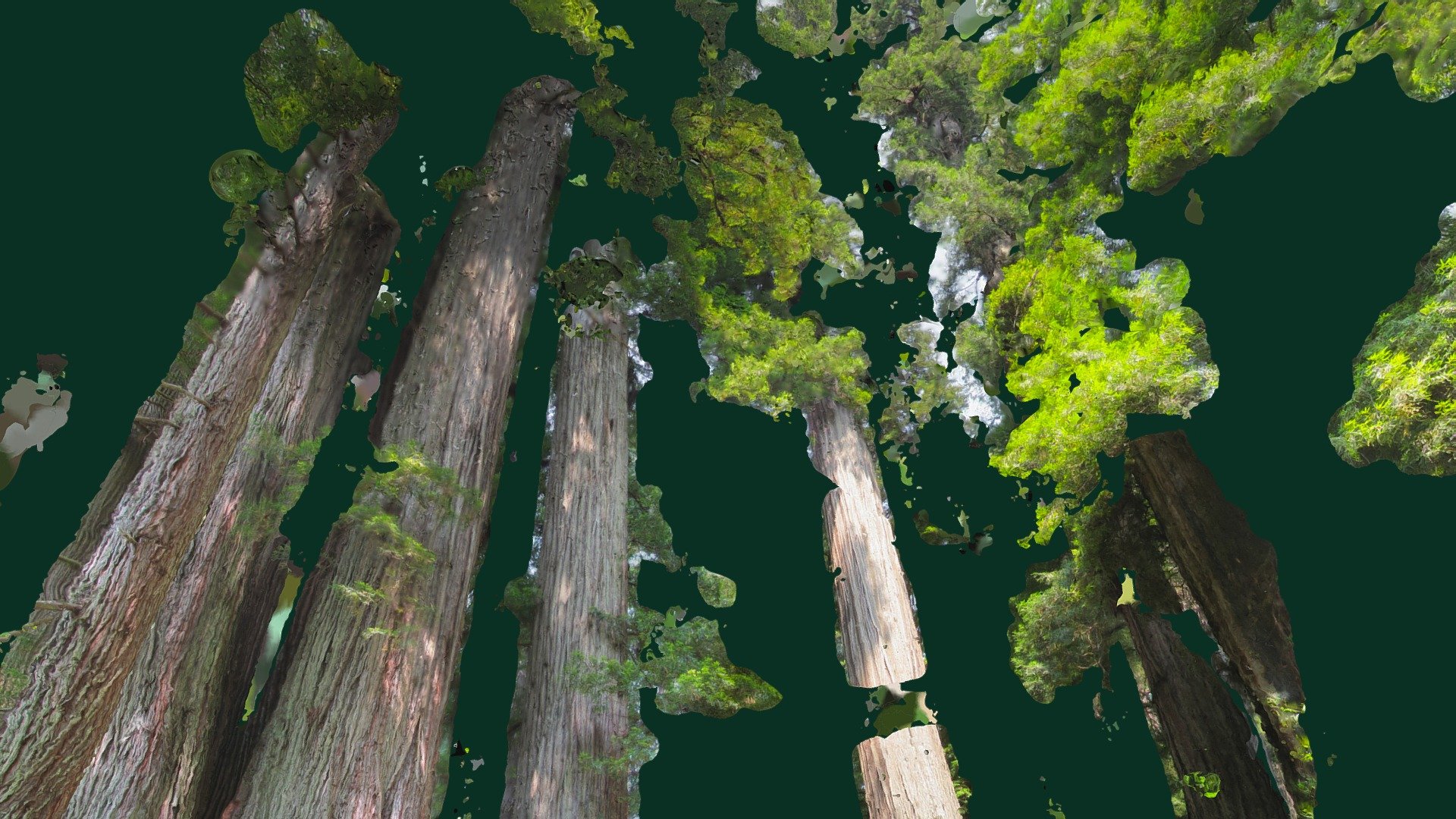 Redwood Trail - 3D model by John Toeppen (@toeppen) [2a7ecf1] - Sketchfab